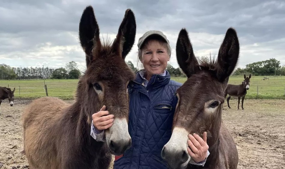 Cyprus: Tashkent Nature Park Seeks New Homes for Stray Donkeys ...